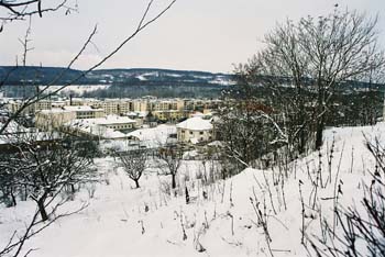 Primaria Tg-Carbunesti